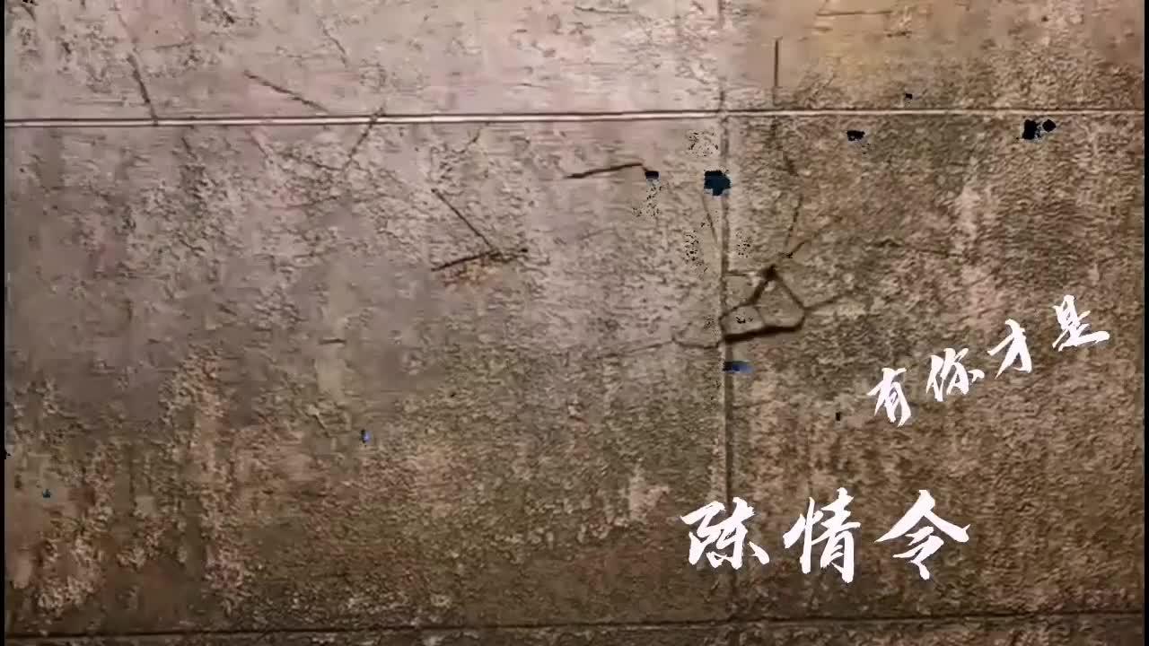 我魏无羡又回来!#陈情令 #魏无羡#魏无羡的腰 #羡羡的火焰符咒@陈情...