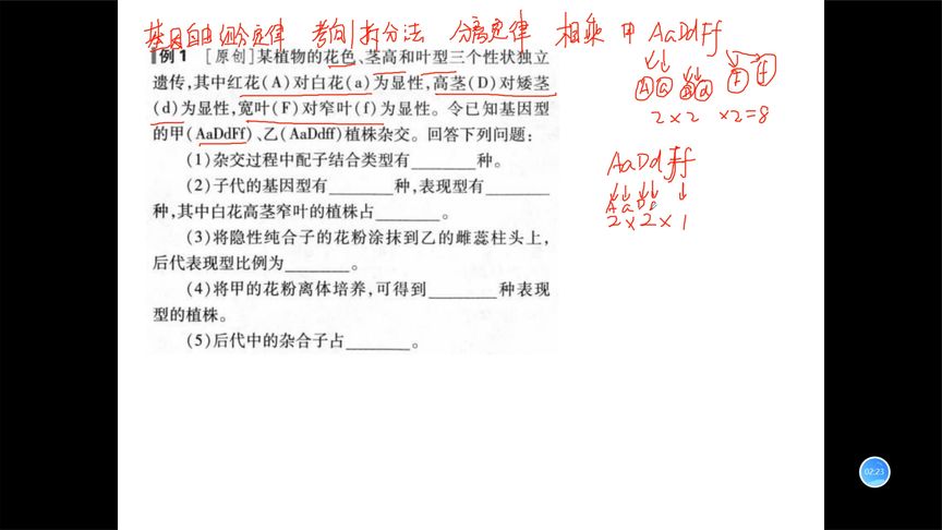 高中生物难点-孟德尔遗传定律 考向1利用拆分法解答自由组合定律