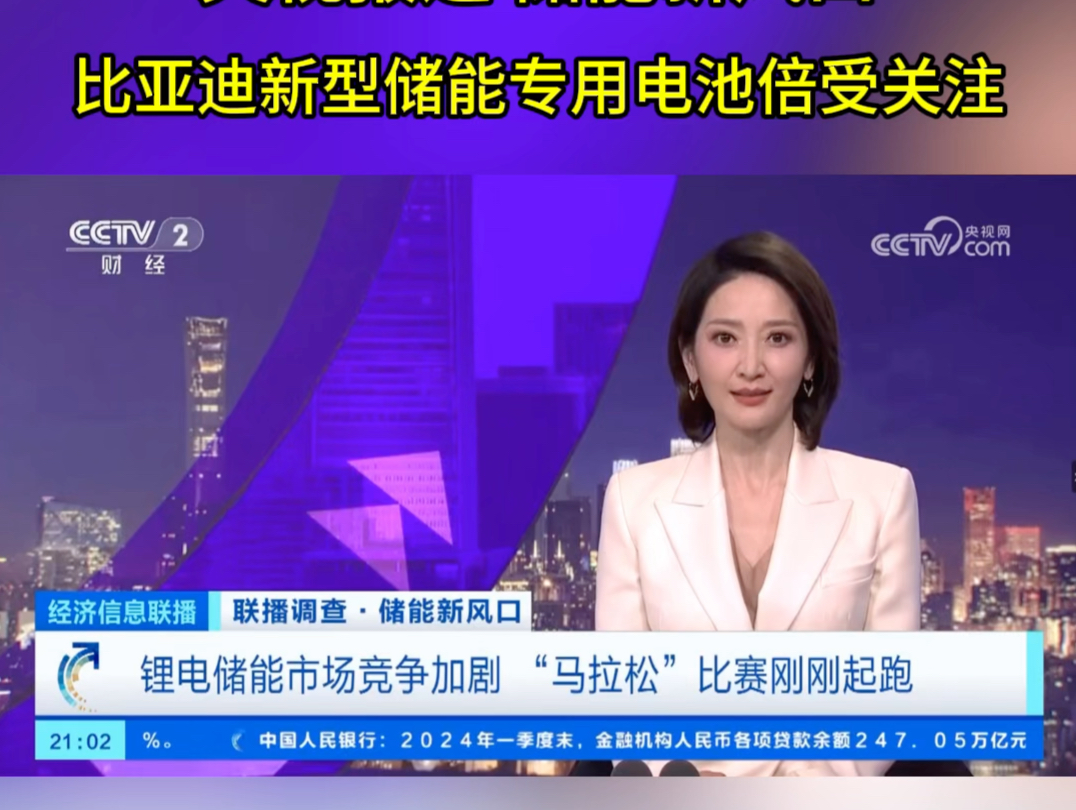 储能新风口,比亚迪新型储能产业受央视关注