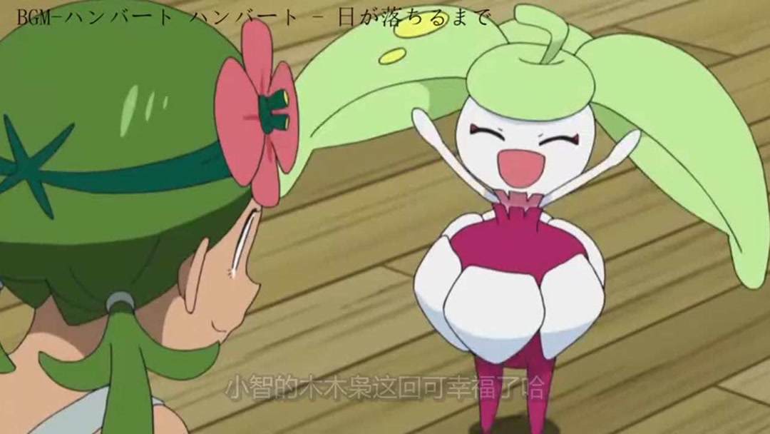 神奇宝贝:终于又有神奇宝贝进化了,小智的木木枭这回可幸福了!