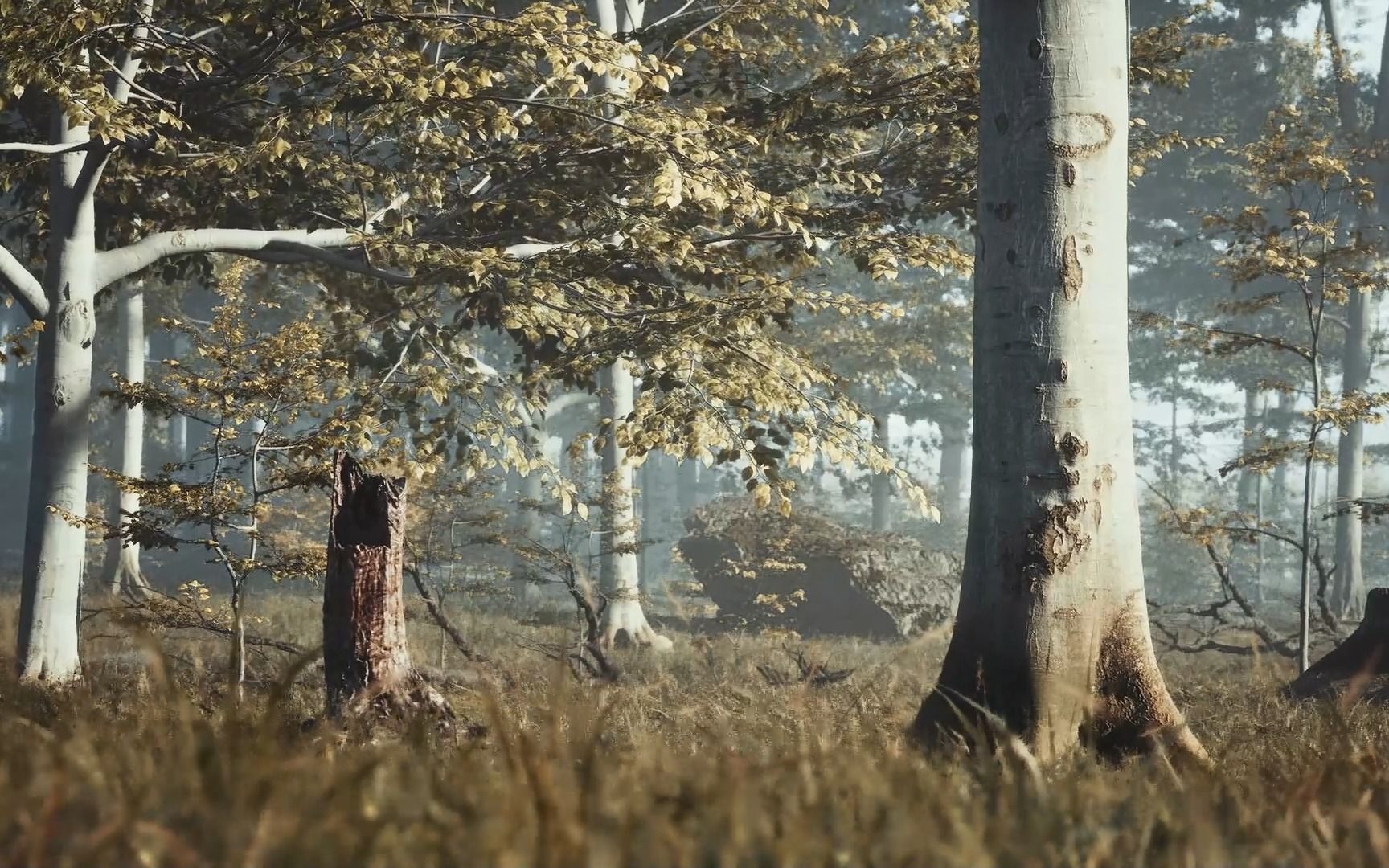 【UE5】风吹过这片树林-最新免费树木包尝试