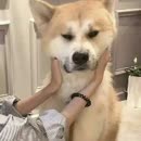 牙某人 
