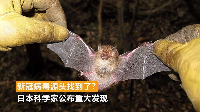新冠病毒源头找到了?科学家公布重大新发现,这次却不是美国