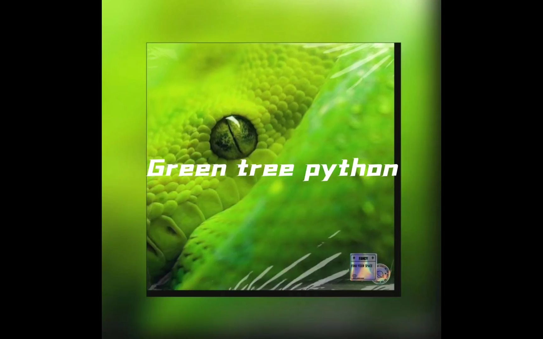 [Free beat] Green tree pythontype/YSL