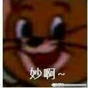 屑屑你呀 
