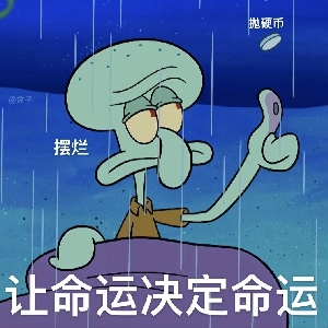 年年喵喵平安就好 