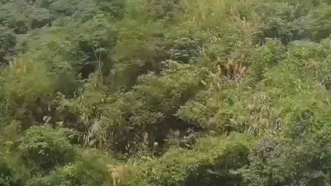 张家界的锁道,美丽的风景。