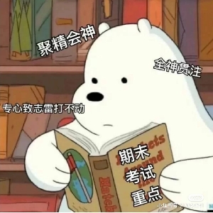 药药不拉er胡 