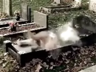 一个人从出生到死亡的过程