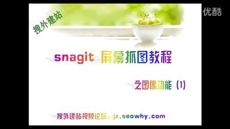 snagit屏幕抓图教程第五节内容