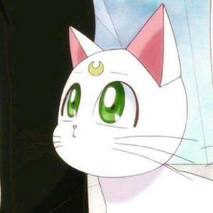 小小白爱看影视 