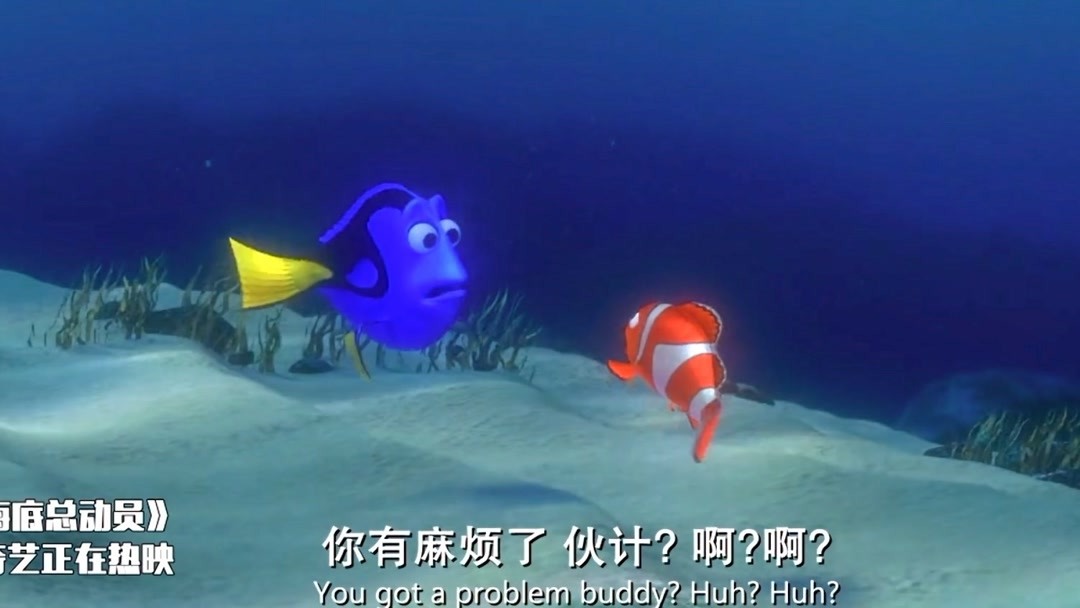 海底总动员:小丑鱼遇到神经病,说过的话转身就忘,耽误他找儿子