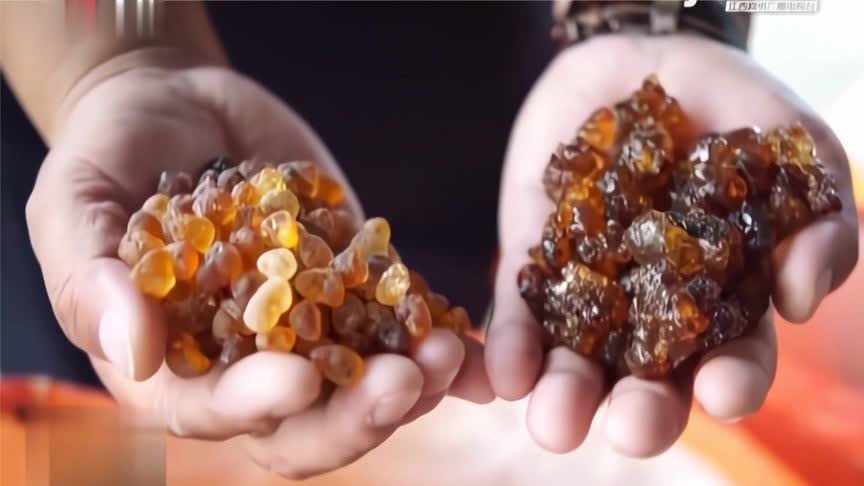 桃胶打磨成“珍珠”,一年销售额竟超过三千万,甚至卖出了国门!