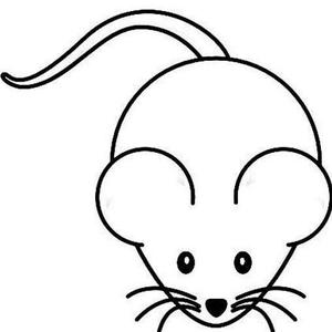 不愿透漏姓名的搬砖侠 