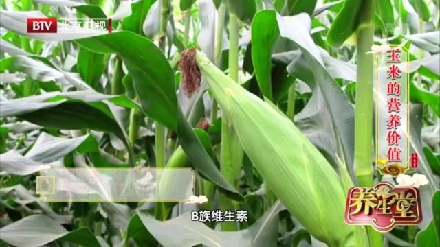 玉米营养太丰富,但要这么吃才能保留营养!(上)