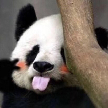 大卫不是外国人 