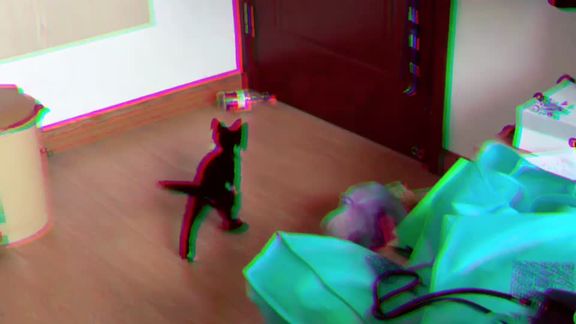 社会我猫弟,大哥大哥