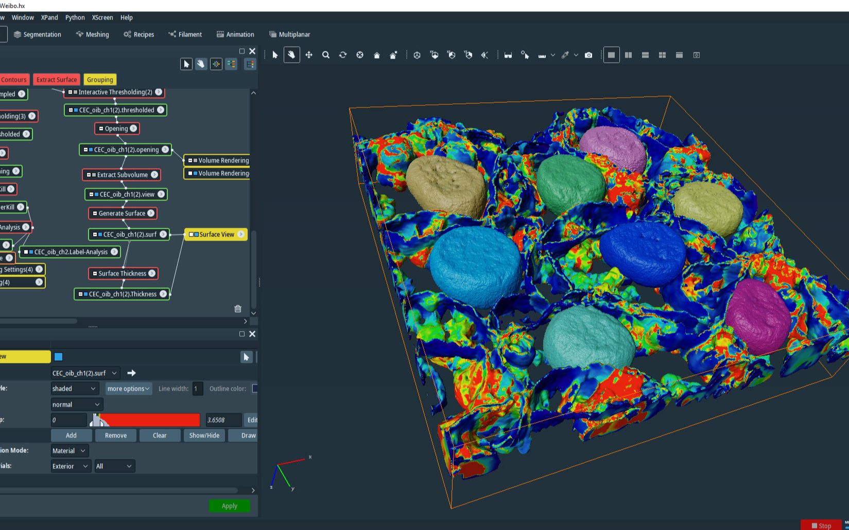 【Amira小Demo】奥林巴斯共聚焦多通道角膜内皮细胞数据分析