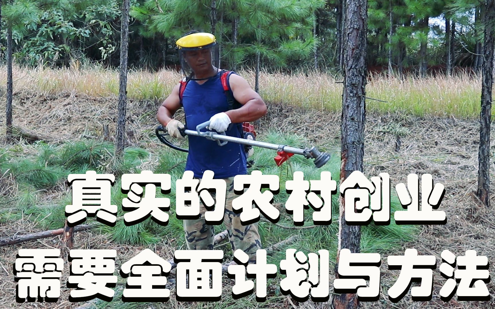 大揭秘,真实的农村创业,需要全面计划与方法,值得学习!