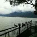 博学多才刘老师666 