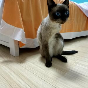 落落菡宸 