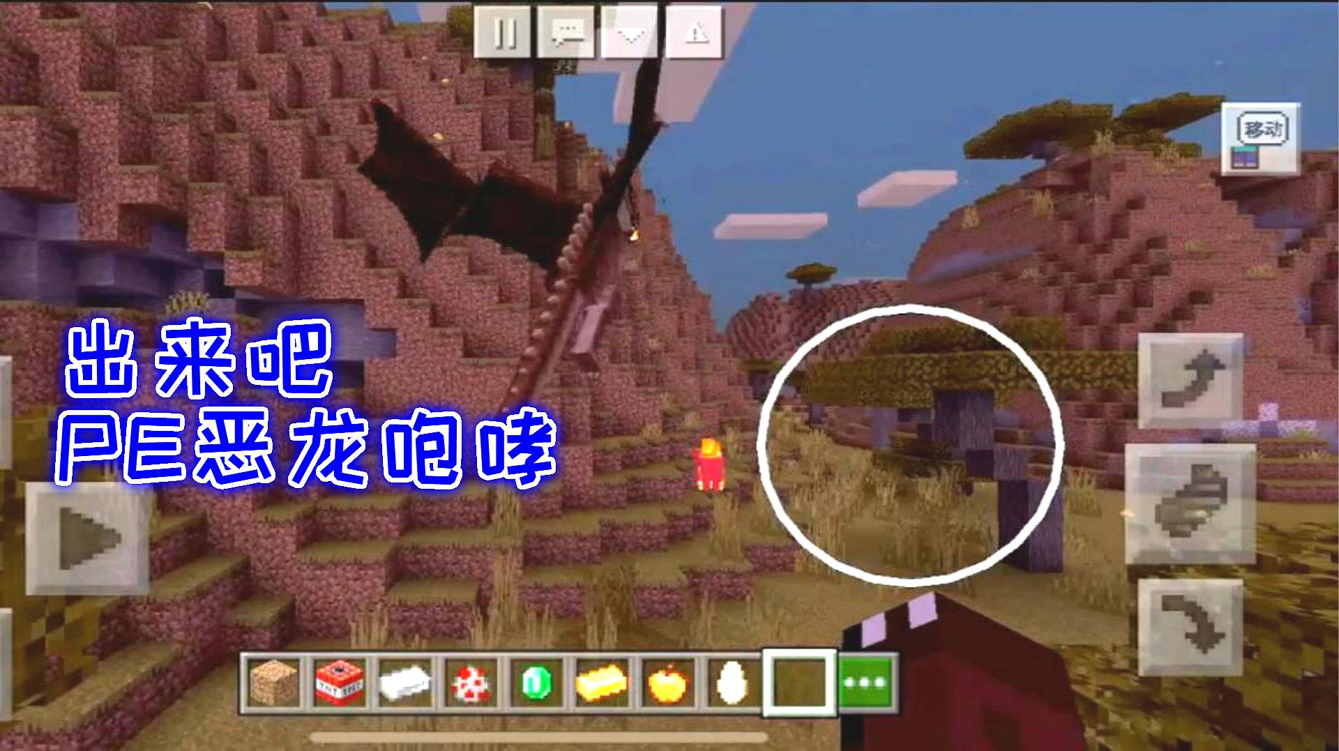 无敌宠物模组!把蝙蝠变成龙!我的世界 静观思禅