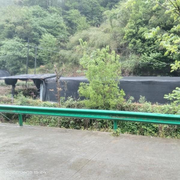貴2859 