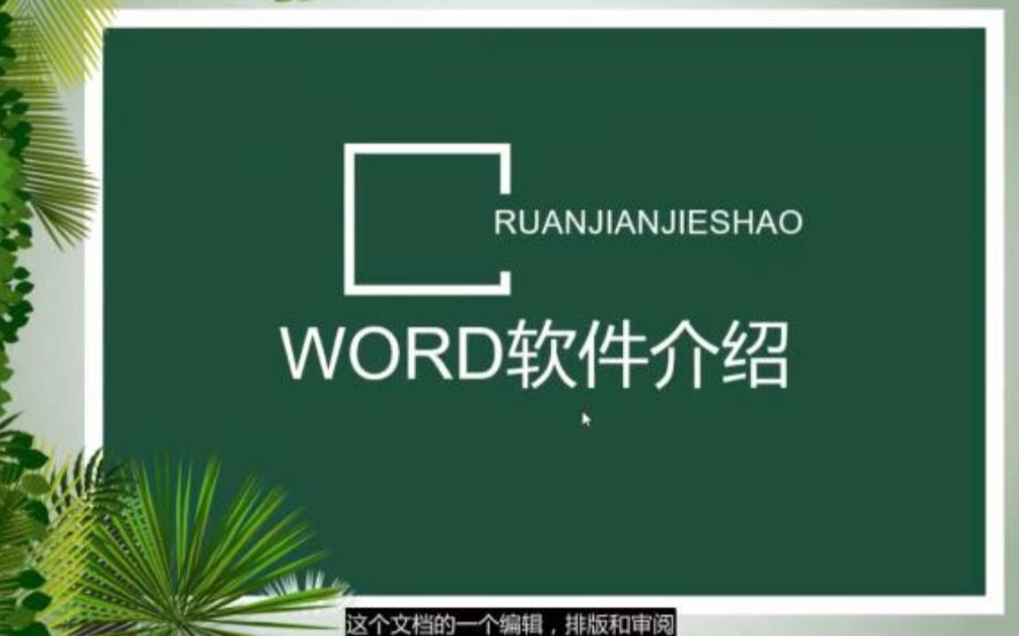 word开始选项卡讲解