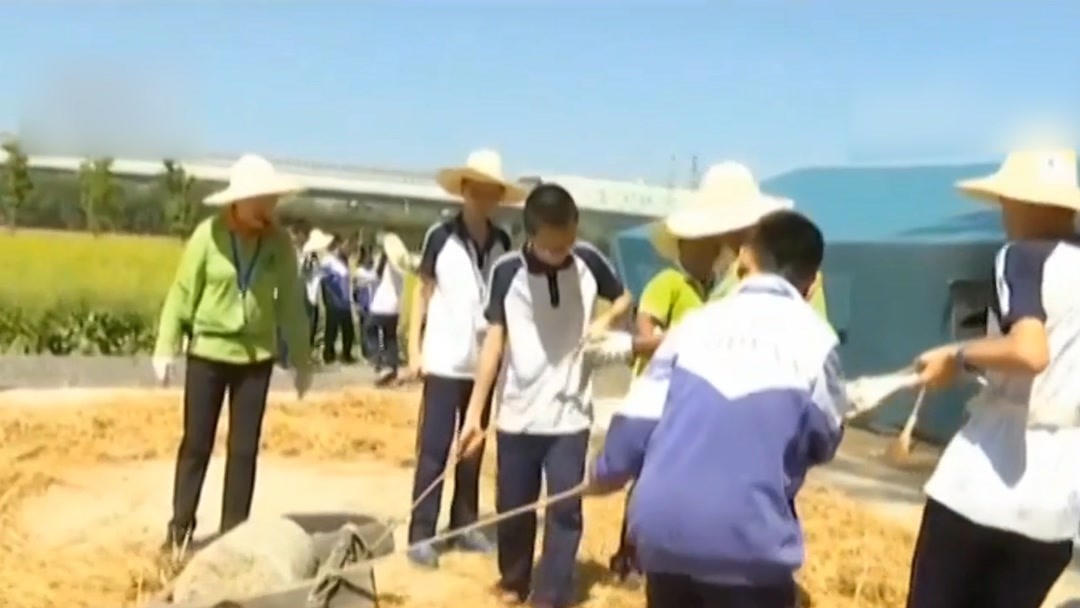 做家务列入家庭作业!上海正制定劳动教育实施意见及配套纲要