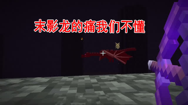 我的世界联机14:末影龙的痛我们不懂,只觉它掉的经验很多