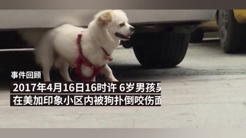 男童被狗咬患狂犬病死亡,多方赔78万