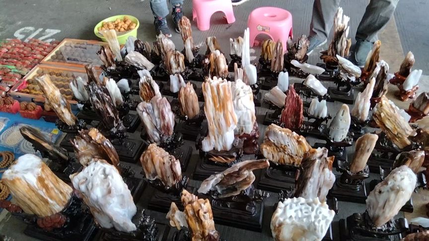 古玩城里见到神奇的树化玉