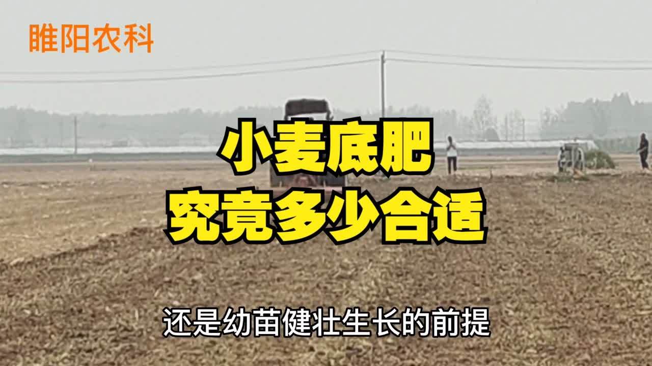 小麦施底肥,如果小麦亩产按1000斤计算,一亩地施多少最合适