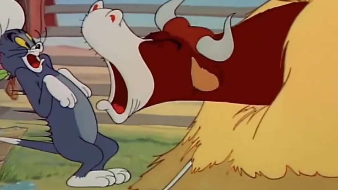 经典搞笑动画片,愤怒的公牛