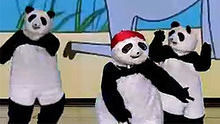 BTV春晚 熊猫表演团《江南Style》
