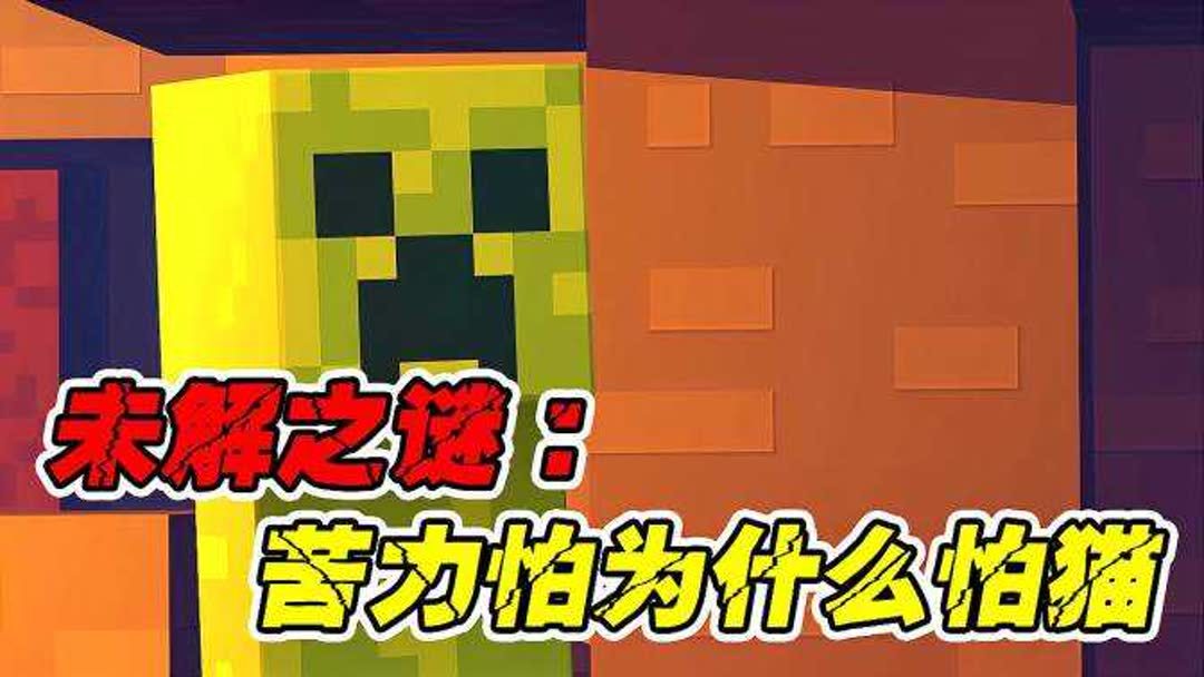 我的世界:游戏中的未解之谜,为什么苦力怕会害怕猫?