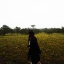 工科女的小清新 