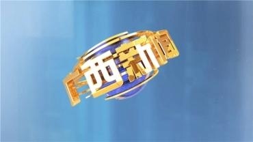 【中央生态环境保护督察在广西】我区公布第十二批群众信访举报转办...