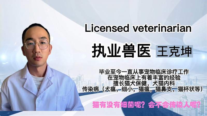 猫有没有细菌呢?会不会传染人呢?