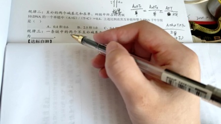 DNA结构计算 规律三