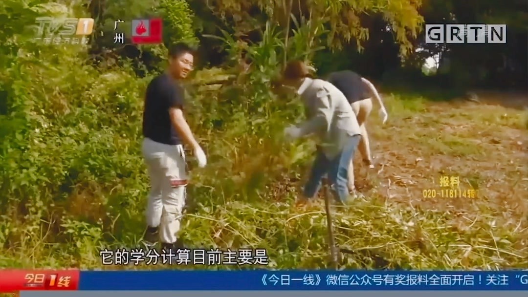 “劳动课”成大学必修课,跟学分挂钩,广州这所大学竟是这样上的