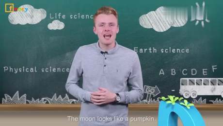 what does it look like