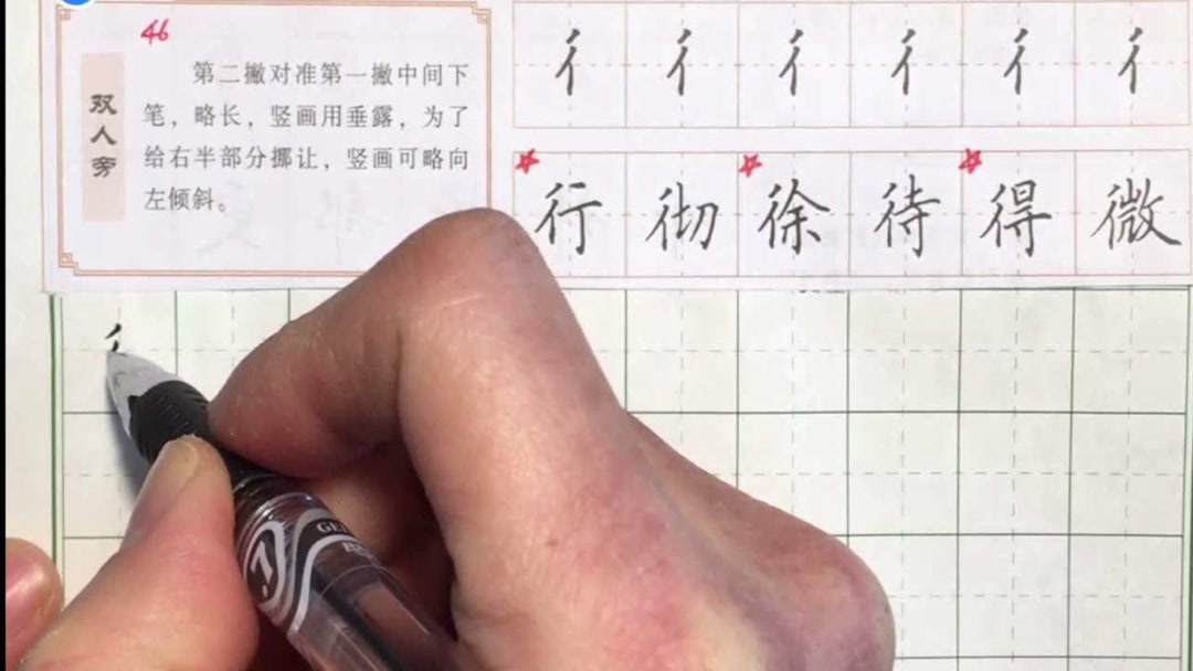 硬笔书法教程:双人旁书法技巧教学,早练习早培养好的书写习惯