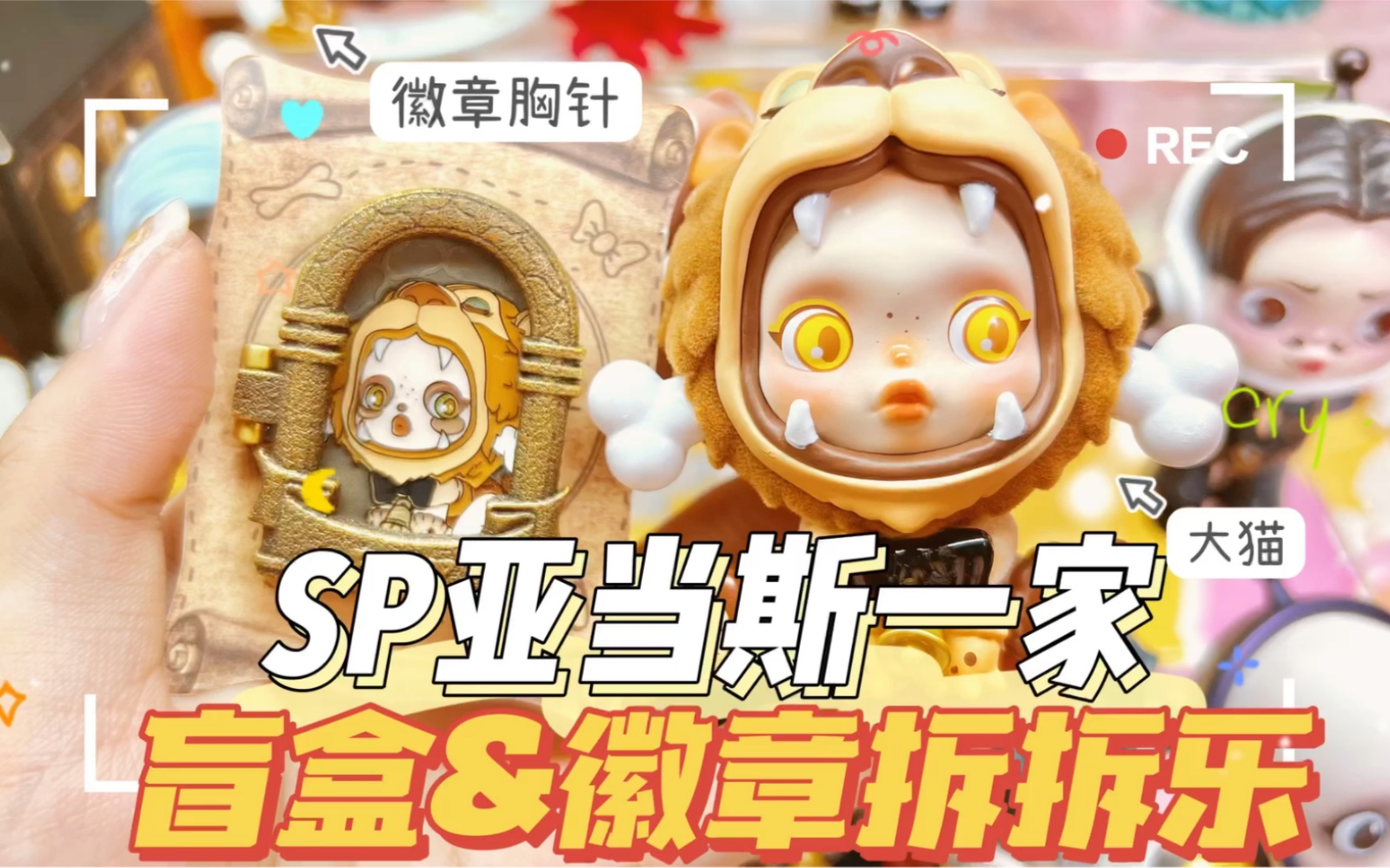 SP亚当斯一家盲盒徽章拆拆乐自上次连连拆到绿婆娘 饼干直接端盒啦