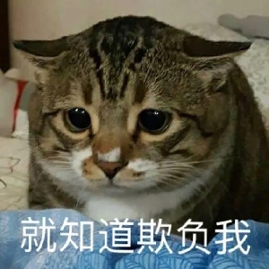 游弥者乐 
