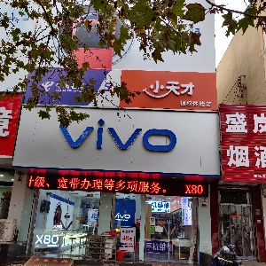 vivo金鼎信专卖店康康 