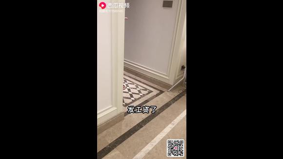 皮卡有点皮