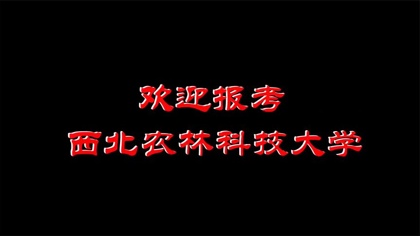 【西北农林科技大学】这不比招生简章好使【转载】
