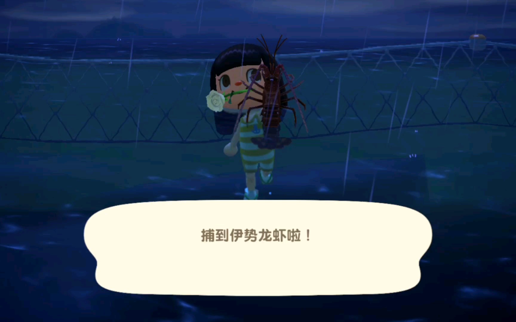 【动森】靓女捕到伊势龙虾