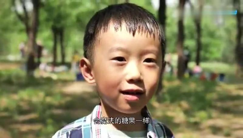 教育部学前教育宣传月宣传片